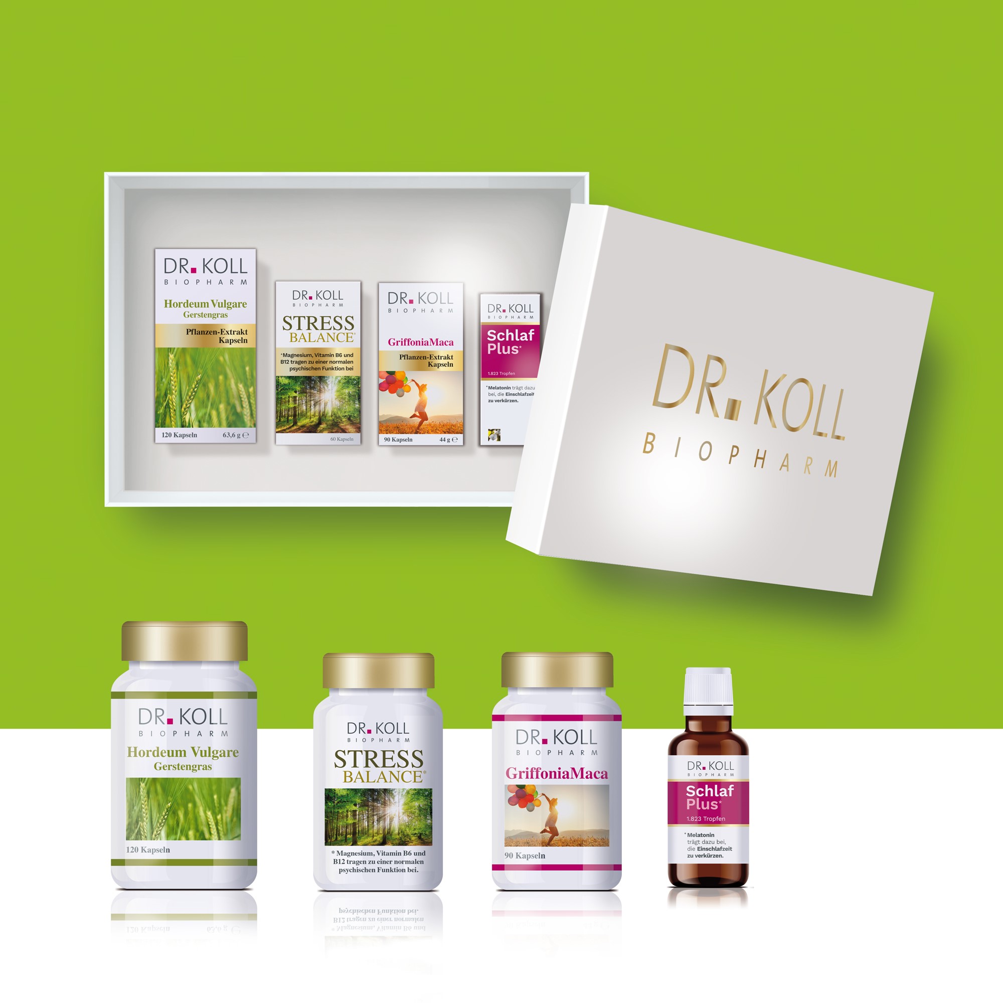 Dr Koll Stress Balance